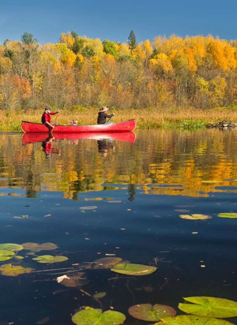 Guided Trips by Canoe Kayak Motorboat – French River